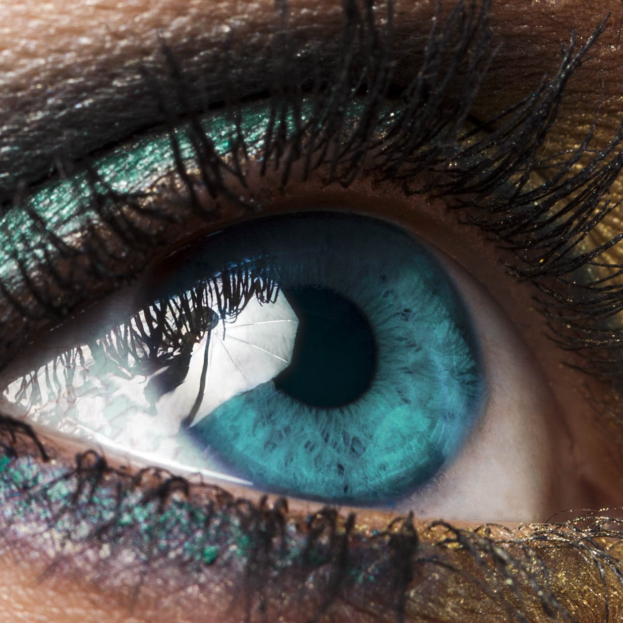 ojo-cuadrado | AAVI Academia de Artes Visuales - Escuela de Fotografía ...